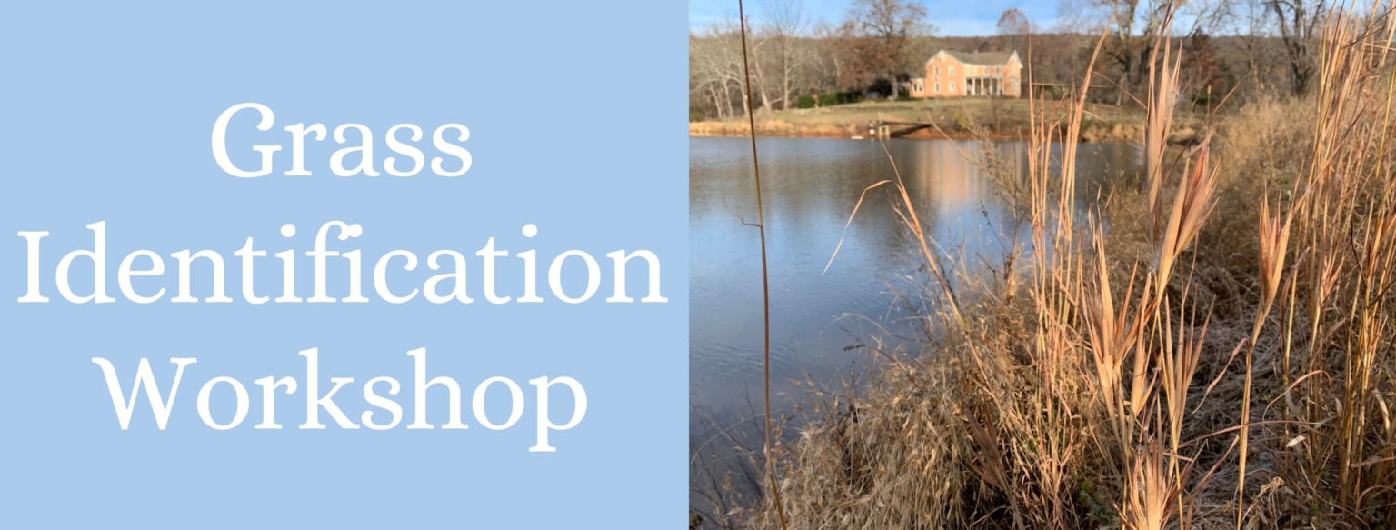 Grass Identification Workshop – The Clifton Institute