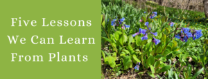 **Virtual** Five Lessons We Can Learn From Plants – The Clifton Institute