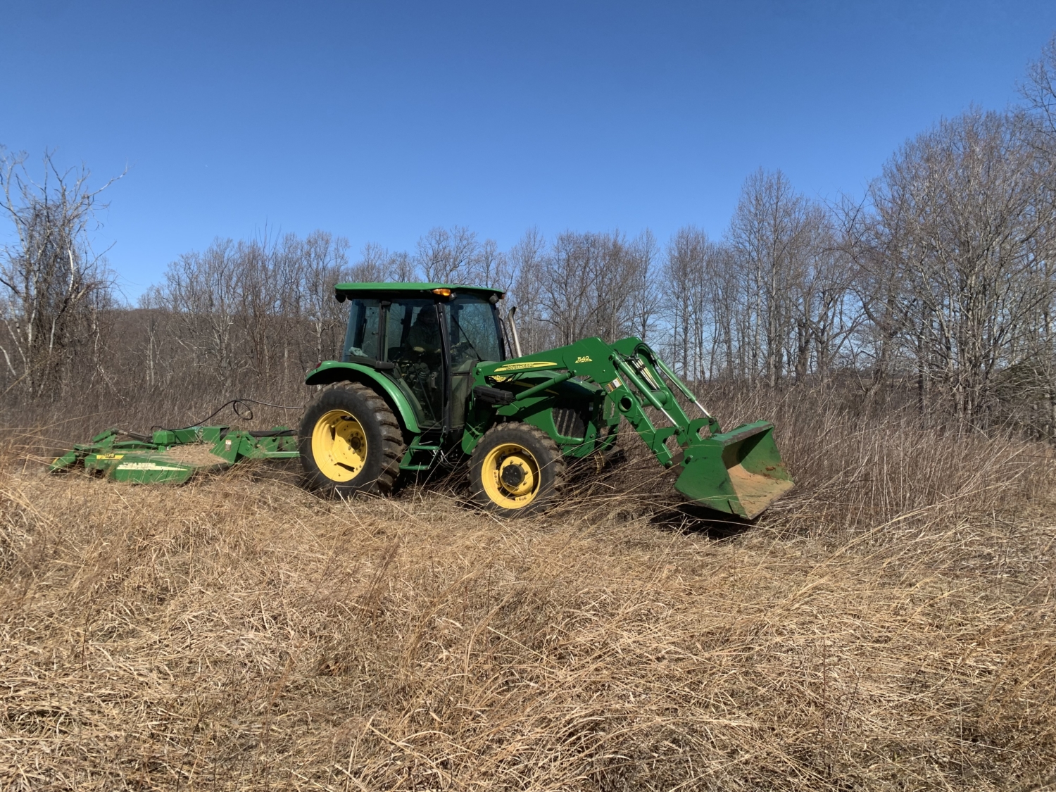 Shrubland Management – The Clifton Institute