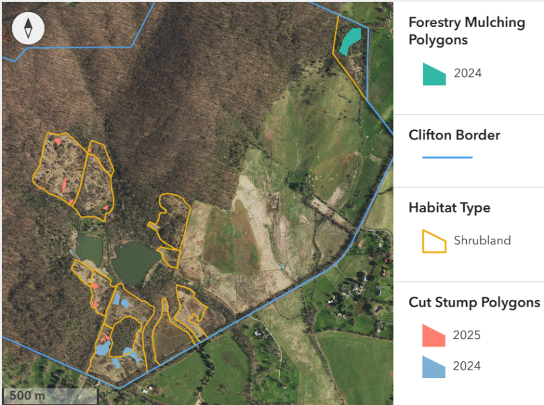 Shrubland Management – The Clifton Institute